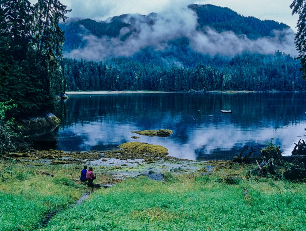 5 reasons Tongass National Forest is worth fighting for | The ...