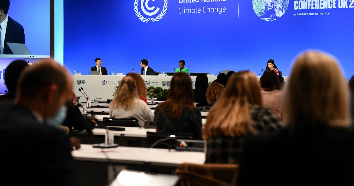 COP26: Local solutions to a global climate crisis | The Wilderness Society