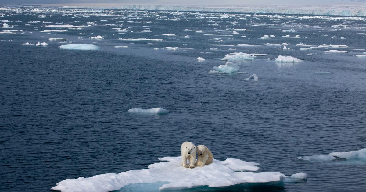Top Place: Arctic Ocean | The Wilderness Society