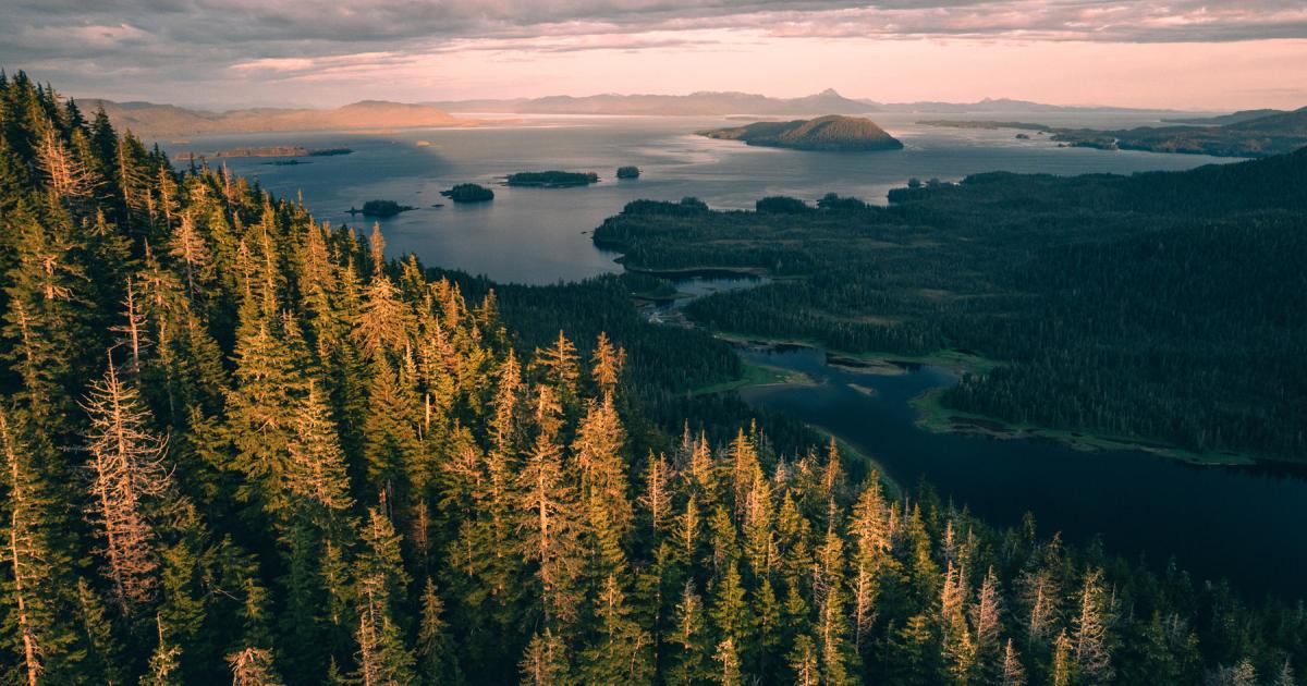 Former Forest Service Chiefs Back Roadless Rule at 25-Year Milestone ...