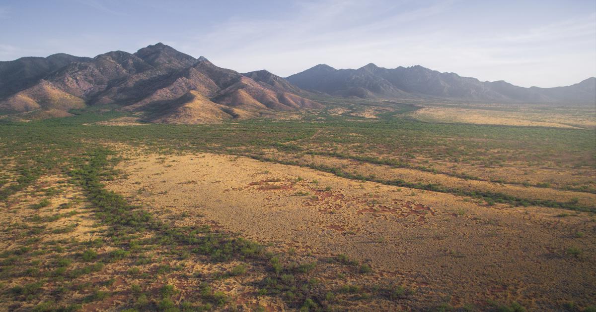 Development: Sonoran Desert | The Wilderness Society