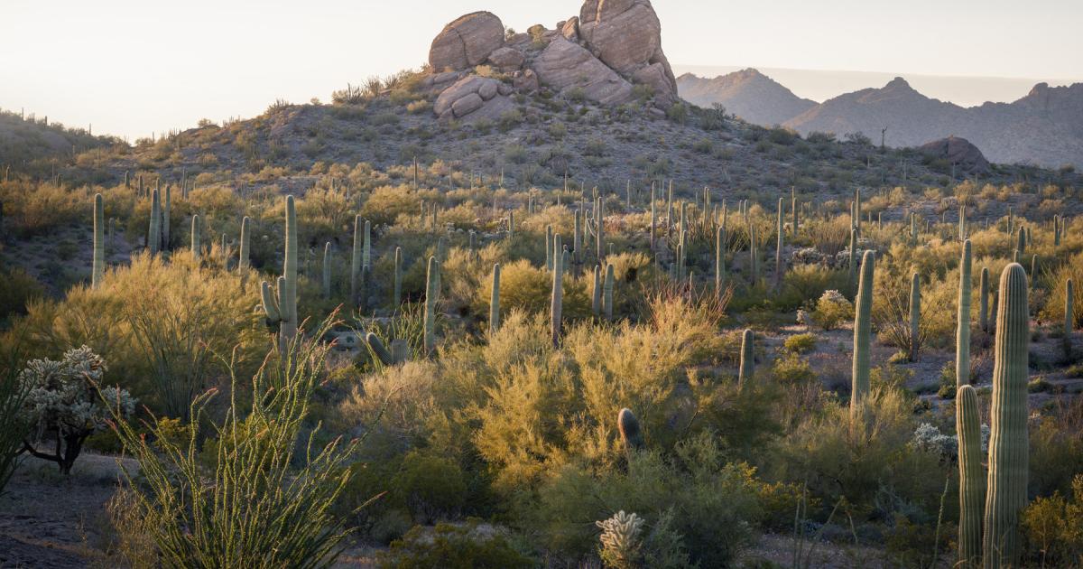 BLM Public Lands Rule rollback proposal announced; 60-day comment ...