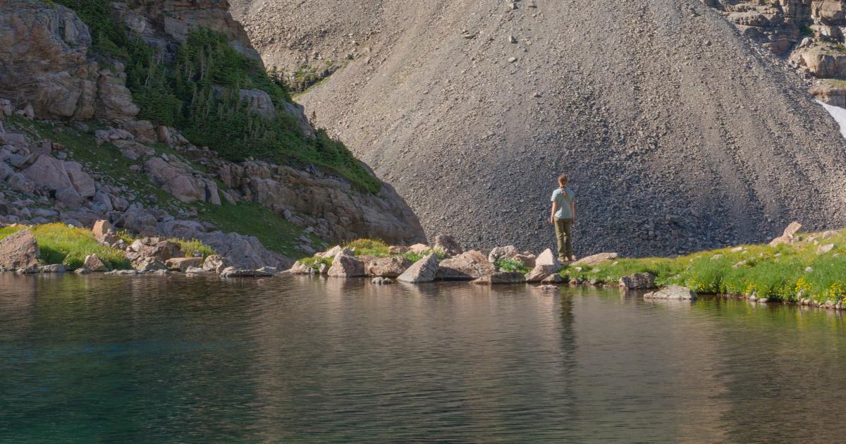 Landscape-scale conservation | The Wilderness Society