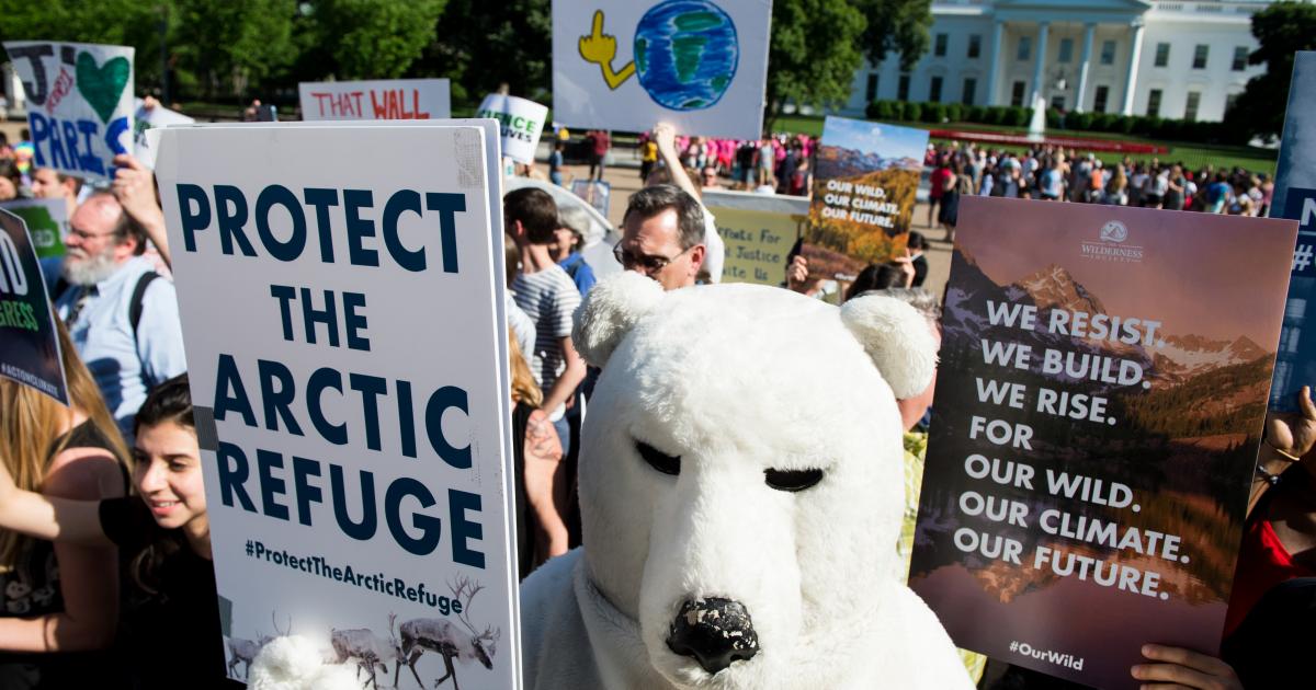 2017 in review: Top stories from the war on conservation | The ...