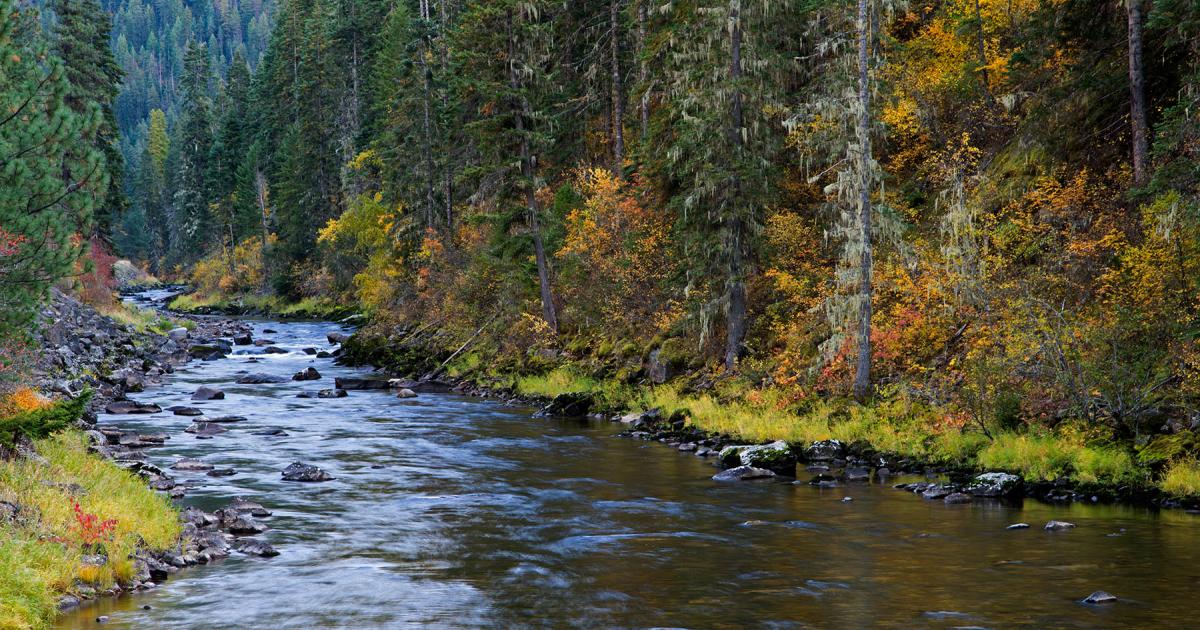 Off-roading: Clearwater River Basin | The Wilderness Society