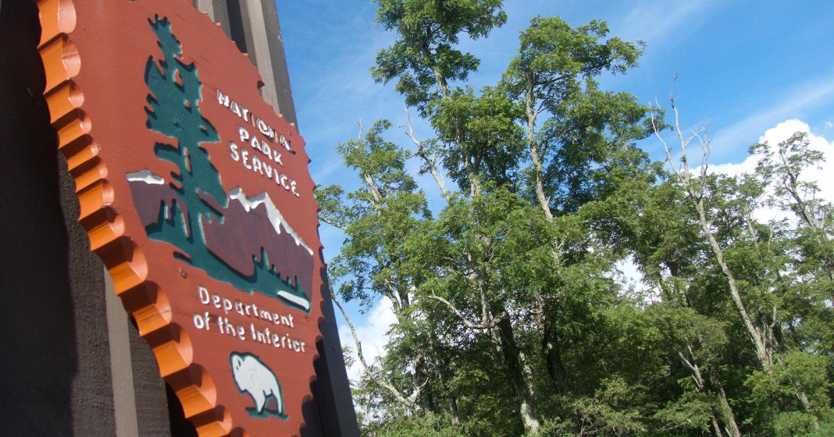 TWS celebrates the appointment of Laura Daniel-Davis as Acting Deputy ...