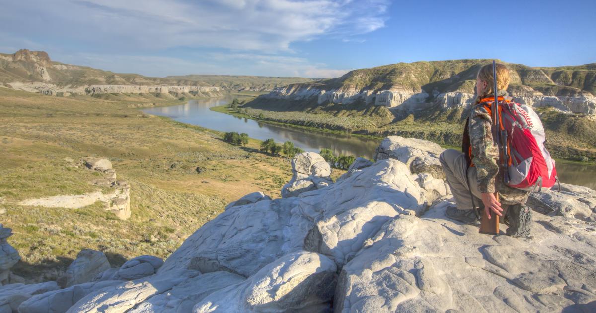 Responsible hunting offers significant benefits for wildlife ...