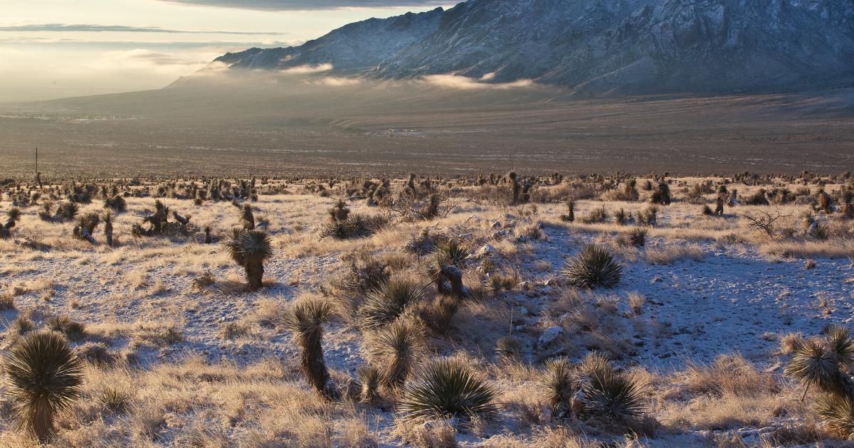 Huge win: Wilderness set to be protected, LWCF renewed in sweeping ...