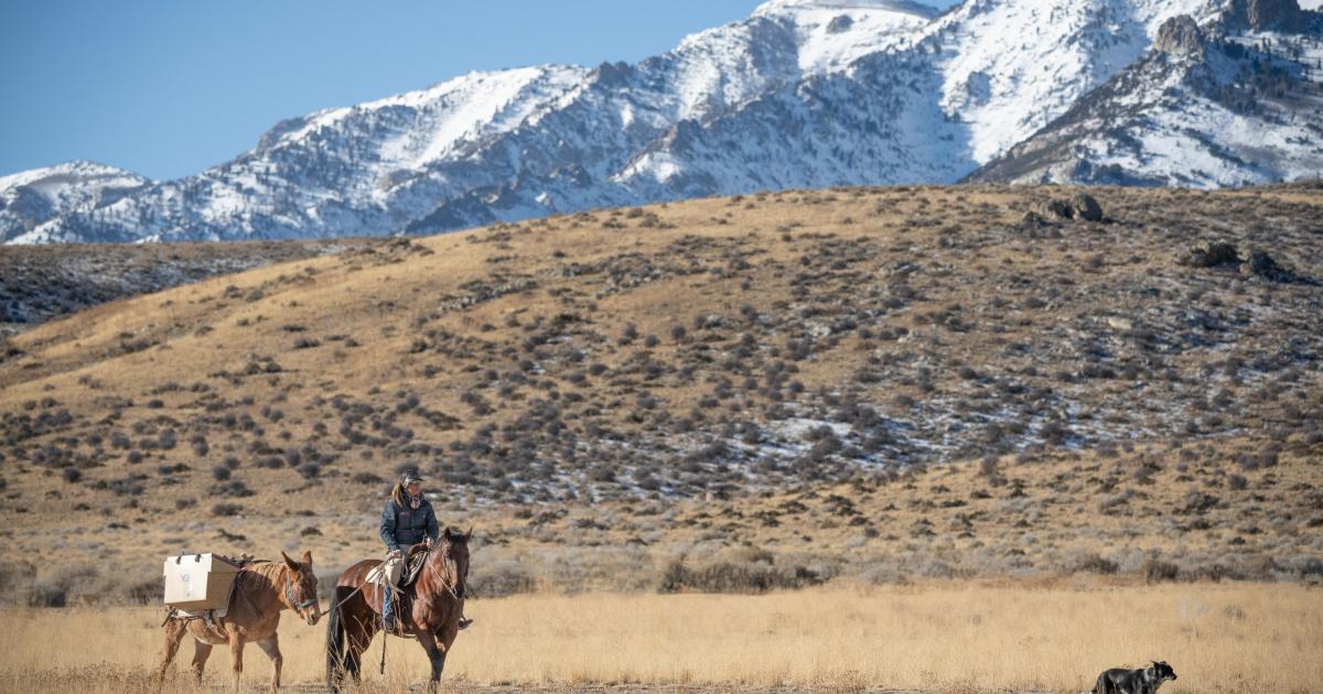 Federal Agencies Move to Protect Nevada’s Ruby Mountains from Oil and Gas Leasing | The ...