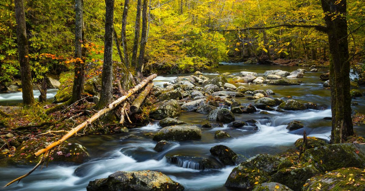 Things to Do: Southern Appalachians | The Wilderness Society