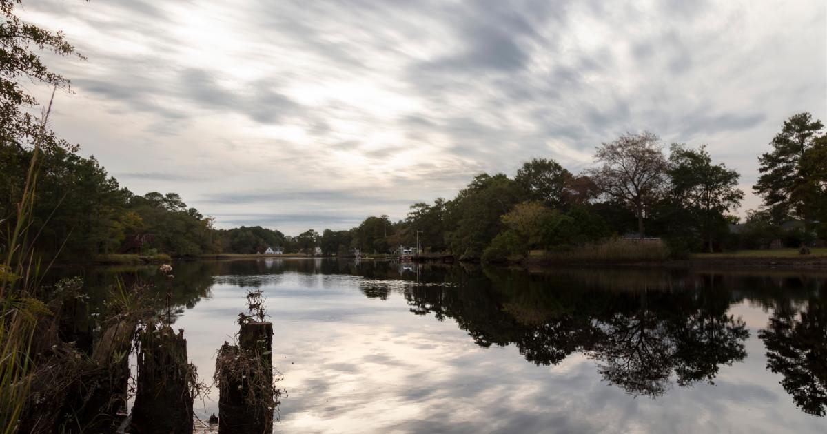 Great Dismal Swamp National Heritage Area Act Signed Into Law | The ...