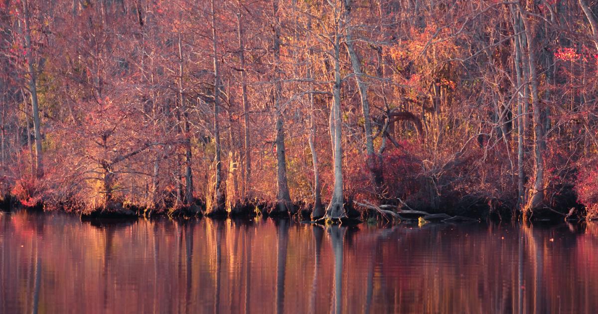 Virginia | The Wilderness Society