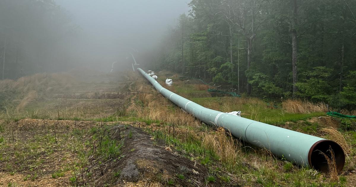 Dangerous Mountain Valley Pipeline gets OK to cross forest. What’s next ...