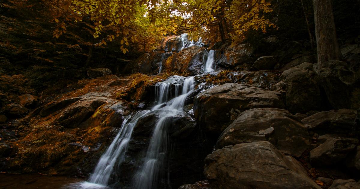 Where to see wilderness in the eastern U.S. | The Wilderness Society