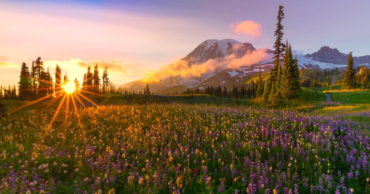 Washington | The Wilderness Society
