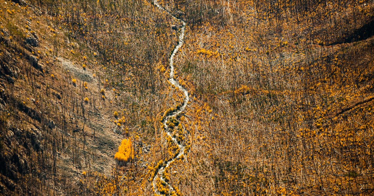 Report: Public Lands, We the People | The Wilderness Society