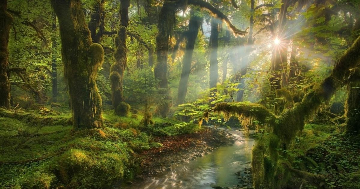 About Us | The Wilderness Society