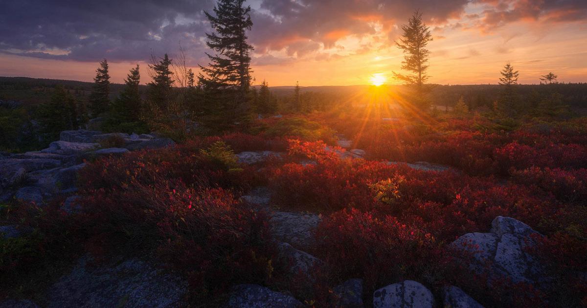 National Wilderness Preservation System | The Wilderness Society